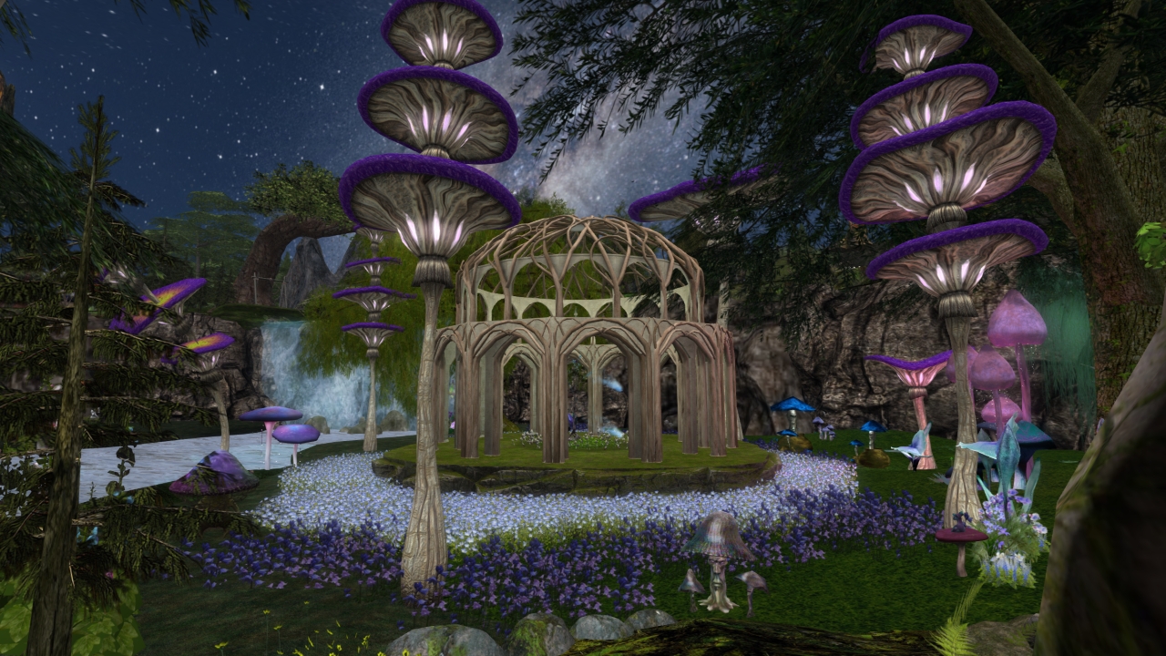 Gallery - The Old Forest