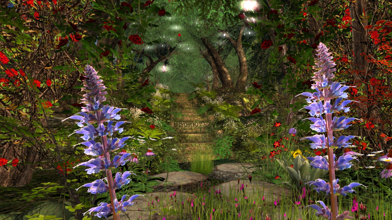 Gallery - The Old Forest