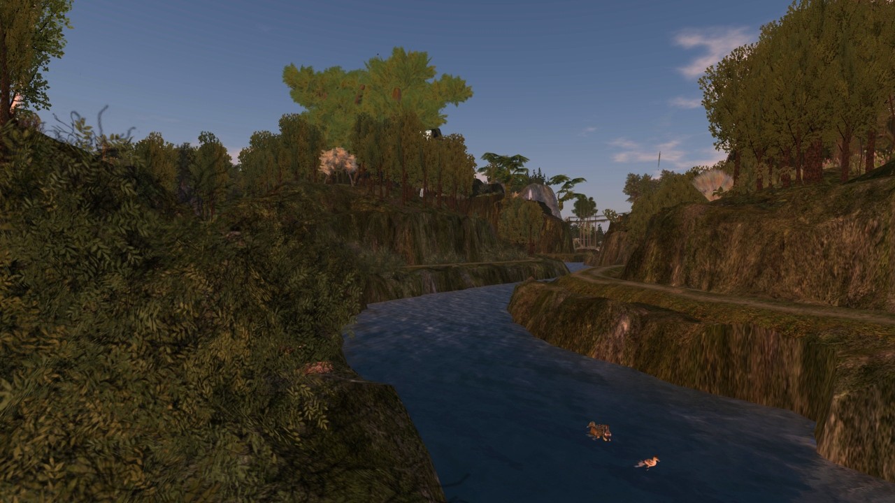 Gallery - The Old Forest