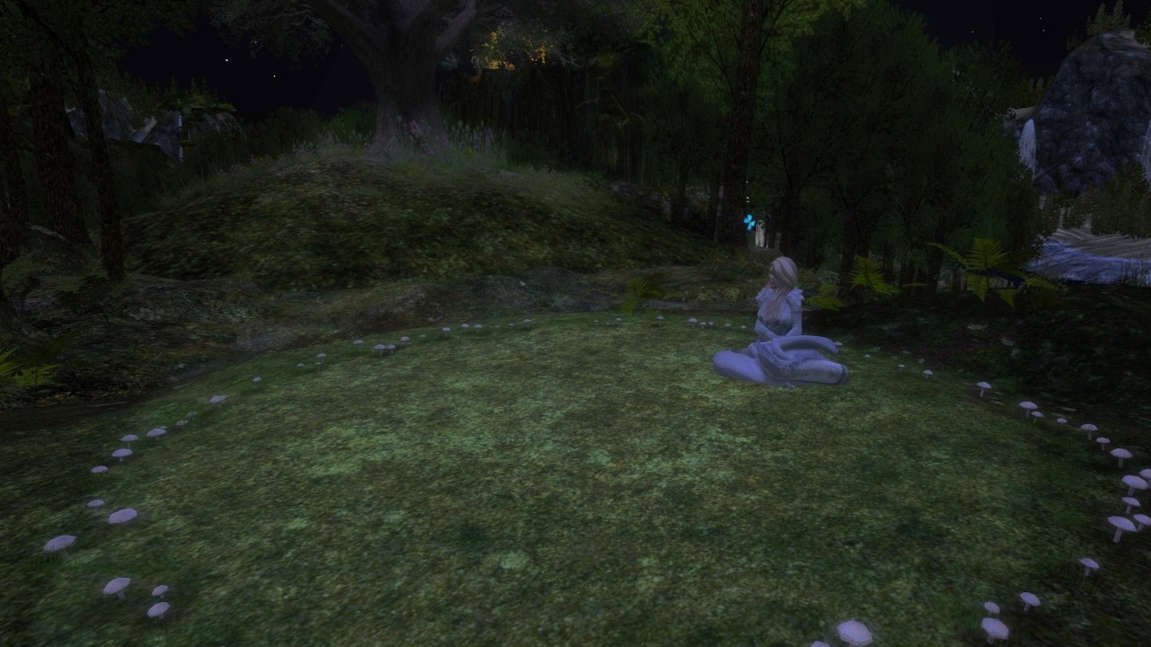 Gallery - The Old Forest